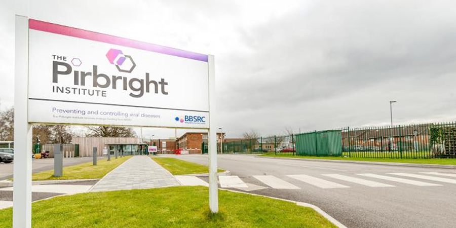 eFeedLink - Pirbright Institute pursues cross-protection vaccines for ASF