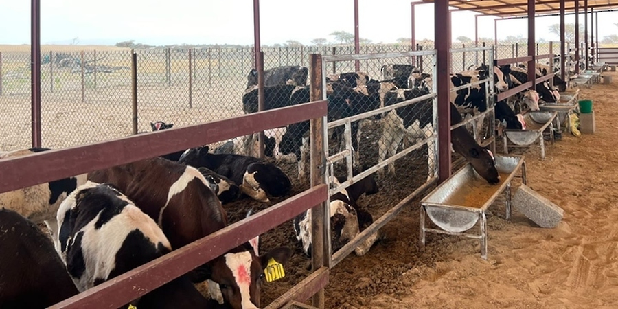 eFeedLink - Oman reveals investment opportunities involving 100-acre ...